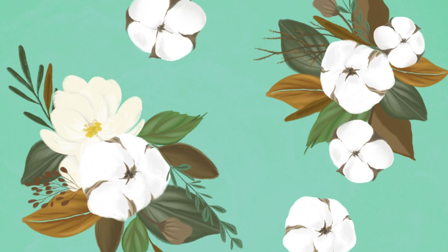 Fiber Faceoff: Unravelling the difference between Hemp and Cotton ...